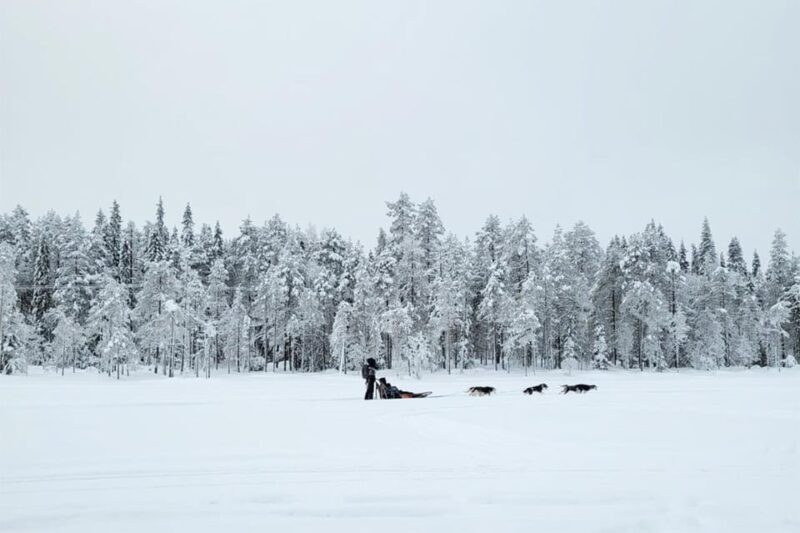 Kemi-Tornio: Husky Sled Ride with Hot Drink - Final Thoughts