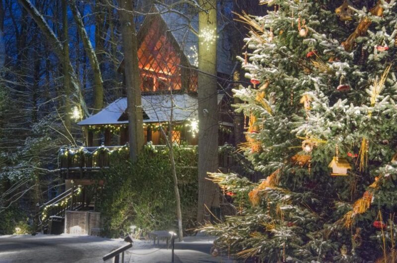 Kennett Square: Longwood Gardens Admission Ticket - Key Points