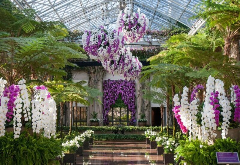 Kennett Square: Longwood Gardens Admission Ticket - Authentic Visitor Insights and Tips