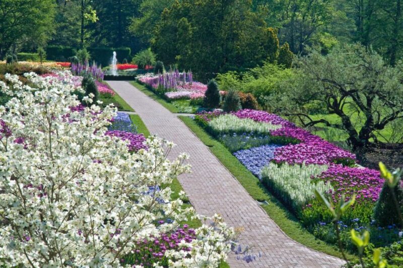 Kennett Square: Longwood Gardens Admission Ticket - Why This Experience Is Worth It