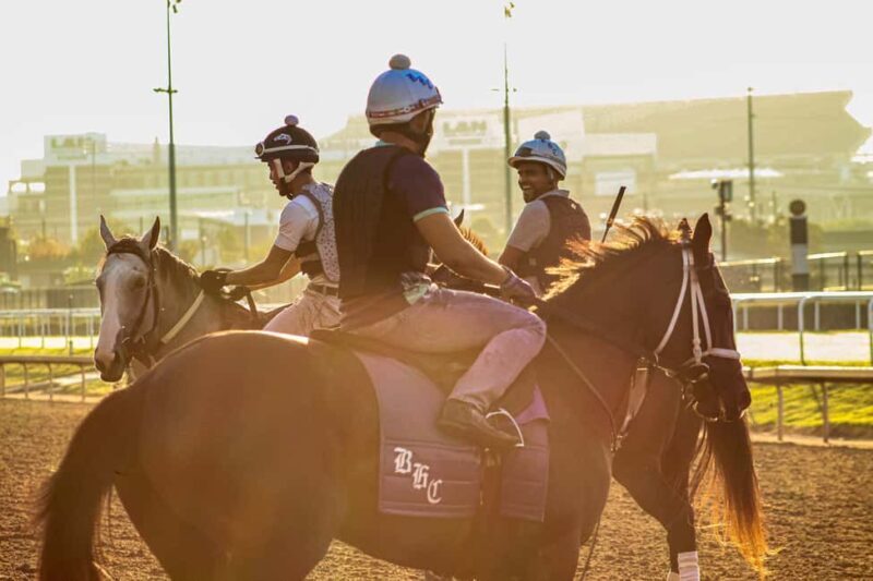 Kentucky Derby Museum - Admission with Guided Track Visit - Introducing the Kentucky Derby Museum Experience