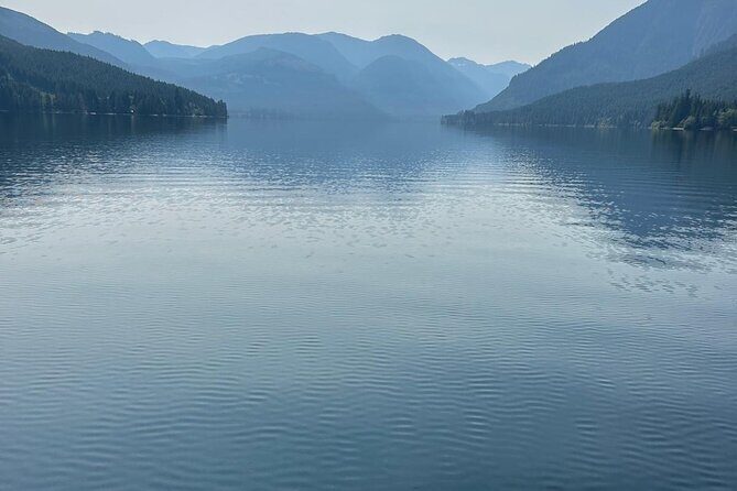 Keogh River Bear Kayaking Tour - Key Points