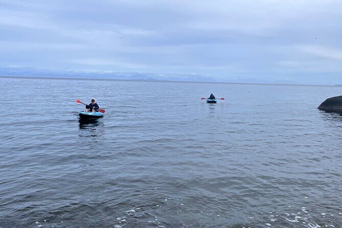 Keogh River Bear Kayaking Tour - Overview of the Keogh River Bear Kayaking Tour