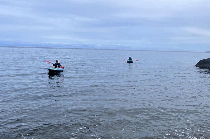 Keogh River Bear Kayaking Tour - Logistics and Practical Details