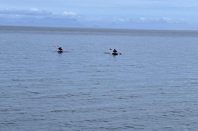 Keogh River Bear Kayaking Tour - Authentic Insights from Reviews