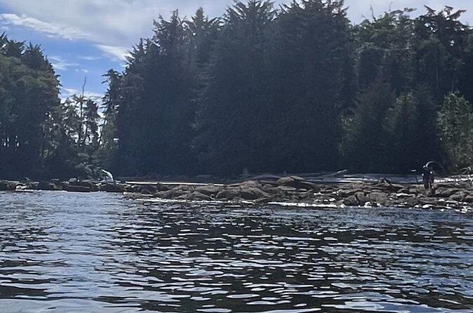 Keogh River Bear Kayaking Tour - The Sum Up