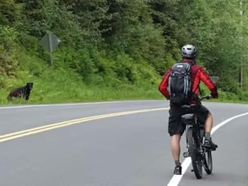 Ketchikan: E-Bike and Hike Tour - An In-Depth Look at the Ketchikan E-Bike and Hike Tour