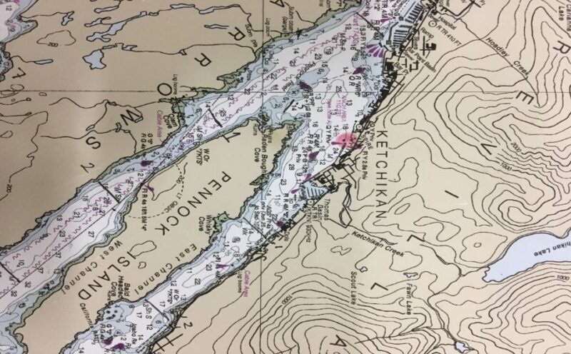 Ketchikan: Marine Wildlife and Whale Watching Boat Tour - Price, Duration, and Overall Value