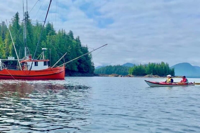Ketchikan: Orca Cove Fast Boat and Sea Kayak Tour - Discovering the Orca Cove Experience