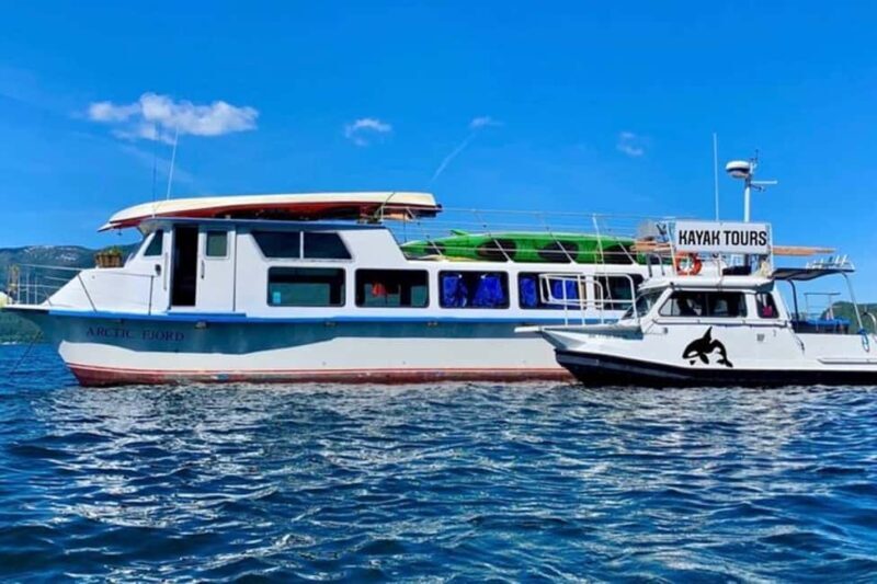 Ketchikan: Orca Cove Fast Boat and Sea Kayak Tour - Frequently Asked Questions