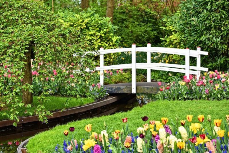 Keukenhof Gardens and Tulip Experience Tour from Amsterdam - Key Points