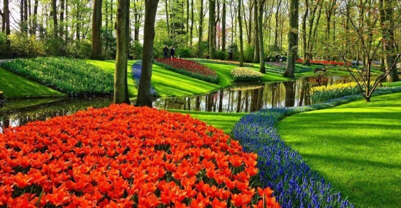 Keukenhof Gardens and Tulip Experience Tour from Amsterdam - What to Expect from the Tour