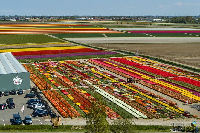 Keukenhof Gardens and Tulips Private Tour from Amsterdam - Key Points