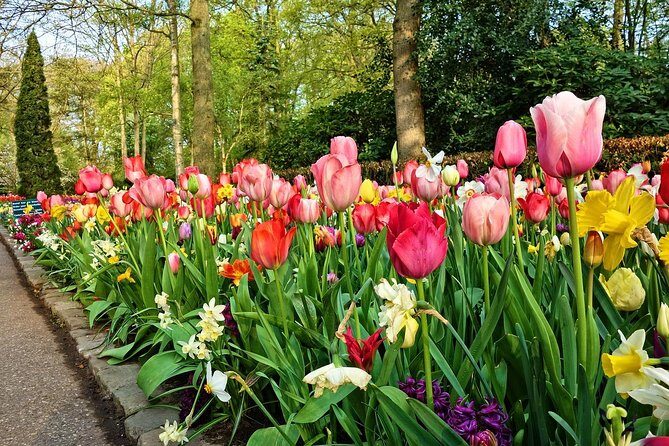 Keukenhof Gardens and Tulips Private Tour from Amsterdam - What to Expect: Day-to-Day Breakdown