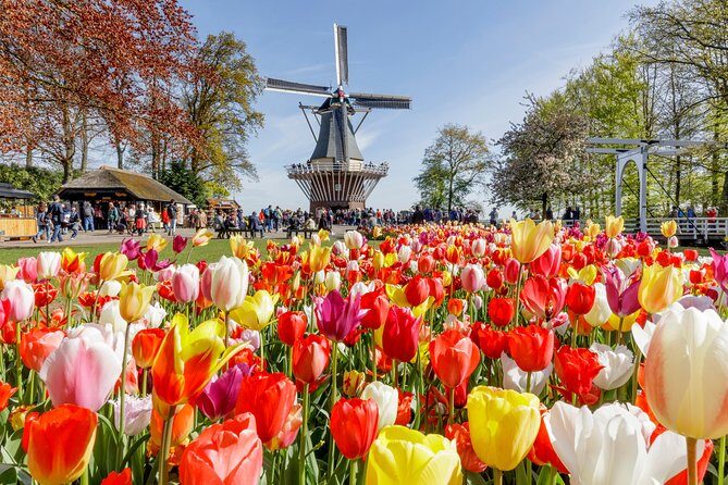Keukenhof Gardens & Tulip Experience Tour from Amsterdam - Detailed Breakdown of the Tour Experience