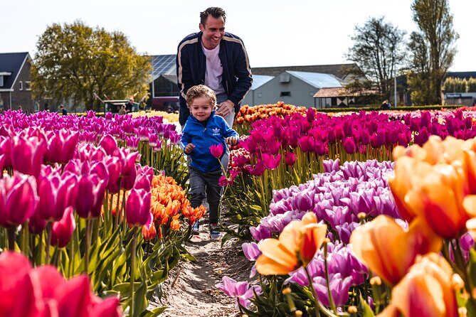 Keukenhof Gardens & Tulip Experience Tour from Amsterdam - The Value of This Tour