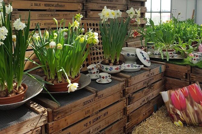 Keukenhof Skip-the-line Tickets: Countryside & Farm Private Tour - Key Points