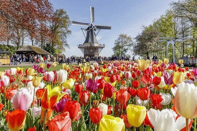 Keukenhof Skip-the-line Tickets: Countryside & Farm Private Tour - What Makes This Tour Truly Valuable