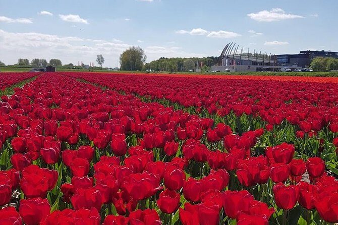 Keukenhof Skip-the-line Tickets: Countryside & Farm Private Tour - Cost Analysis and Overall Value