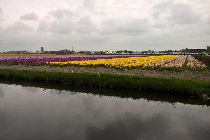 Keukenhof's Tulips and Windmills Small-Group Tour from Amsterdam - Things to Keep in Mind