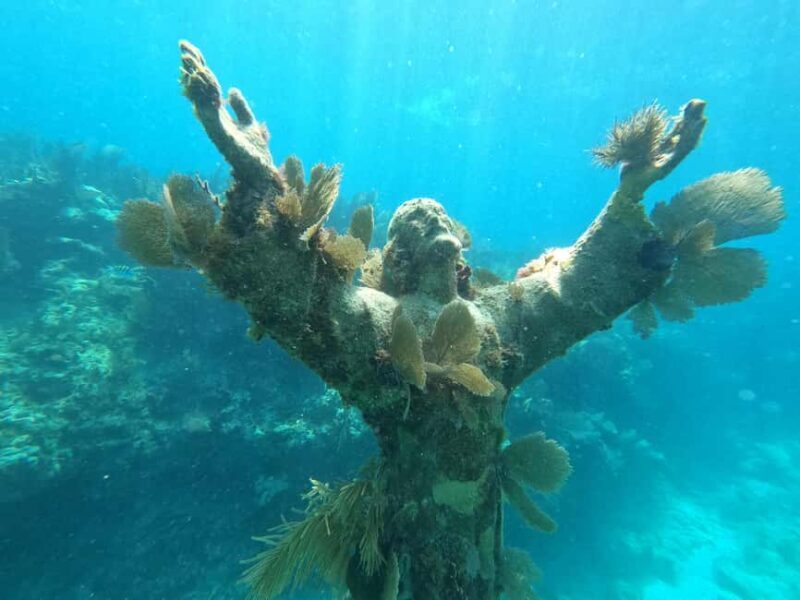 Key Largo: 2-Tank Shallow Reef Dive with Guide & Photos - Practical Details and Tips