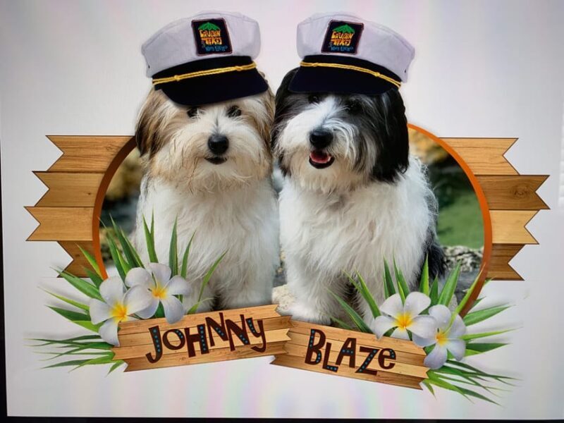 Key Largo: Cruisin' Tikis Key Largo - Day Cruise - Final Thoughts