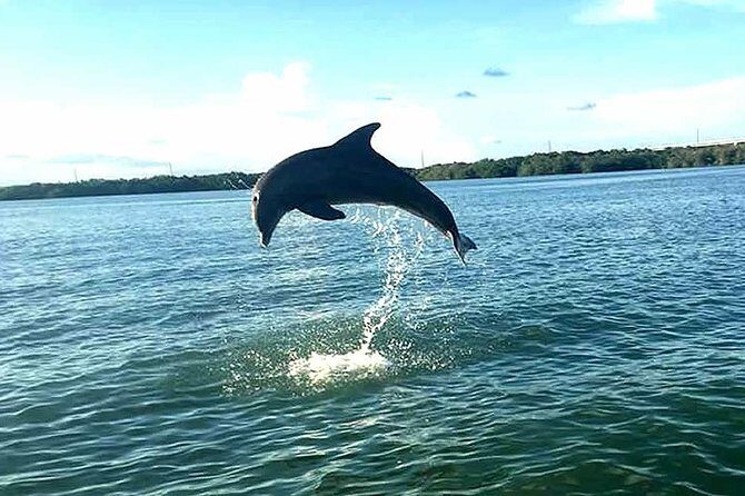 Key Largo Mangrove Private Eco-Tours - The Itinerary in Detail