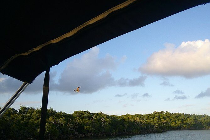 Key Largo Mangrove Private Eco-Tours - Pricing and Value