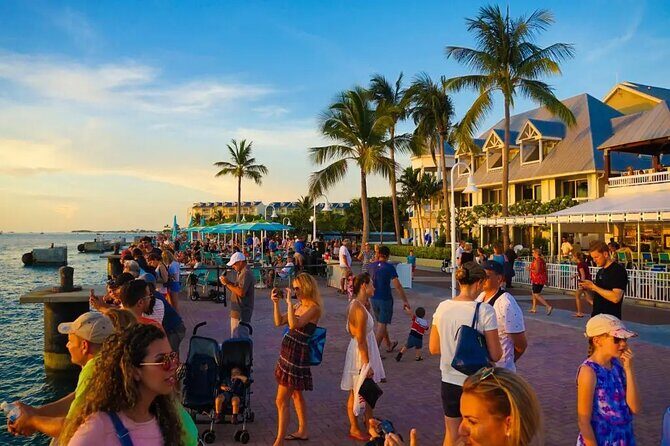 Key West Adventure: One-Day Escape from Miami - What the Tour Offers: From Miami to Key West and Back