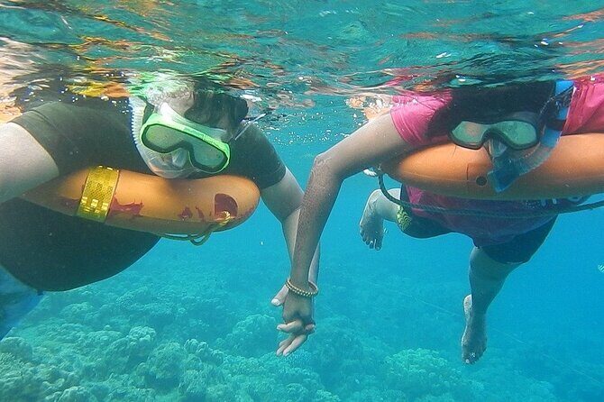 Key West Combo: Hop On Hop Off Afternoon Snorkeling - An Honest Look at the Key West Combo: Hop On Hop Off Afternoon Snorkeling