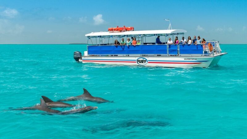 Key West: Dolphin Watching and Snorkeling Eco Cruise Tour - Starting Point and Logistics