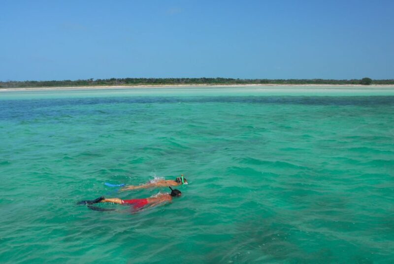 Key West: Dolphin Watching and Snorkeling Eco Cruise Tour - Duration and Timing