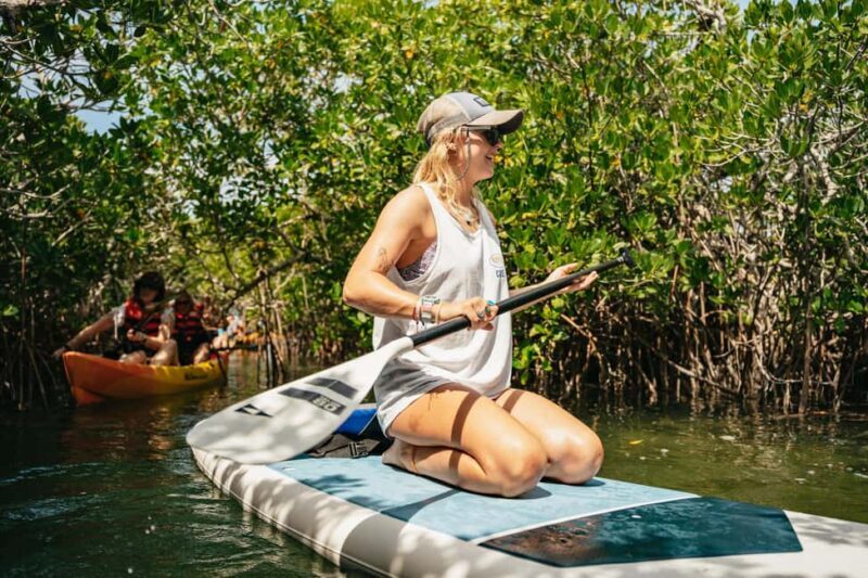 Key West: Hidden Sanctuary Kayak Tour with Sandbar Safari - In-Depth Itinerary Breakdown