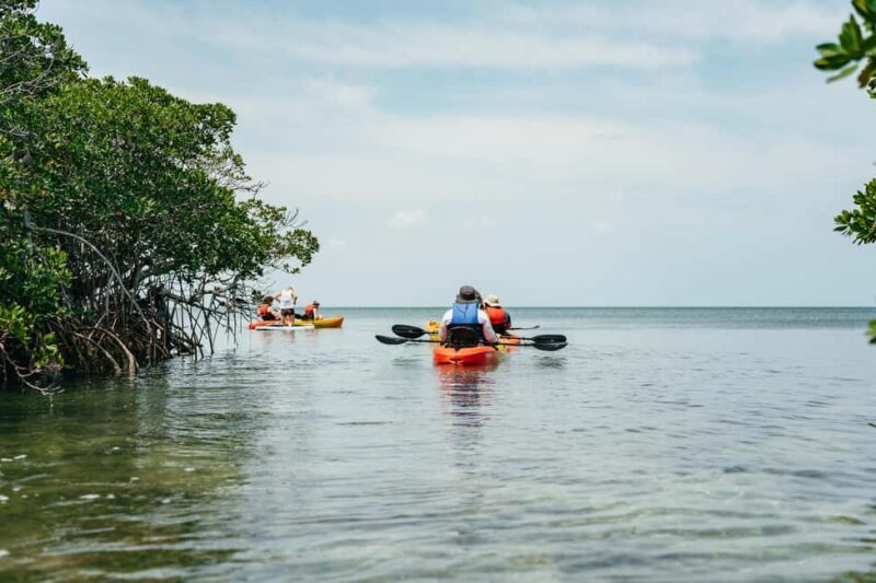 Key West: Hidden Sanctuary Kayak Tour with Sandbar Safari - Why You Should Consider This Tour