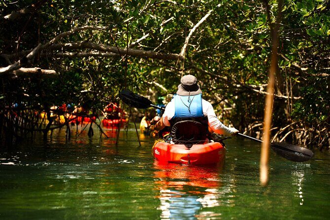 Key West Hidden Sanctuary Mangrove Kayak Tour With Drinks - A Complete Look at the Experience