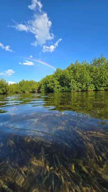 Key West: Kayak or Paddleboard Rental - Key Points