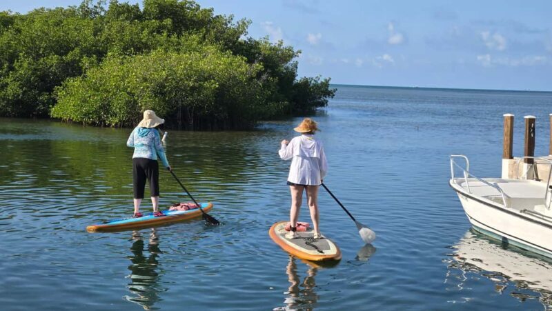 Key West: Kayak or Paddleboard Rental - The Human Touch: Friendly and Informative Staff