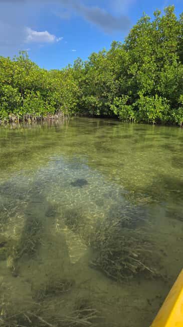 Key West: Kayak or Paddleboard Rental - Practical Details: Planning Your Visit