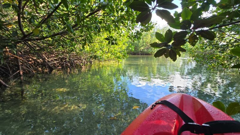 Key West: Kayak or Paddleboard Rental - The Sum Up: Is It Worth It?