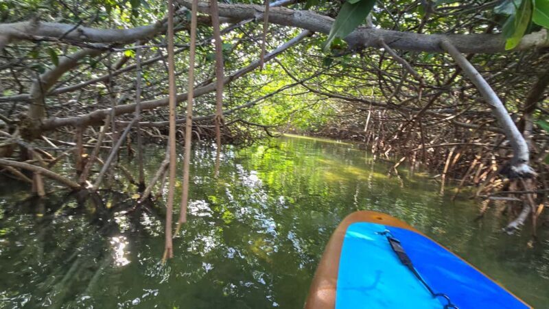 Key West: Kayak or Paddleboard Rental - FAQ