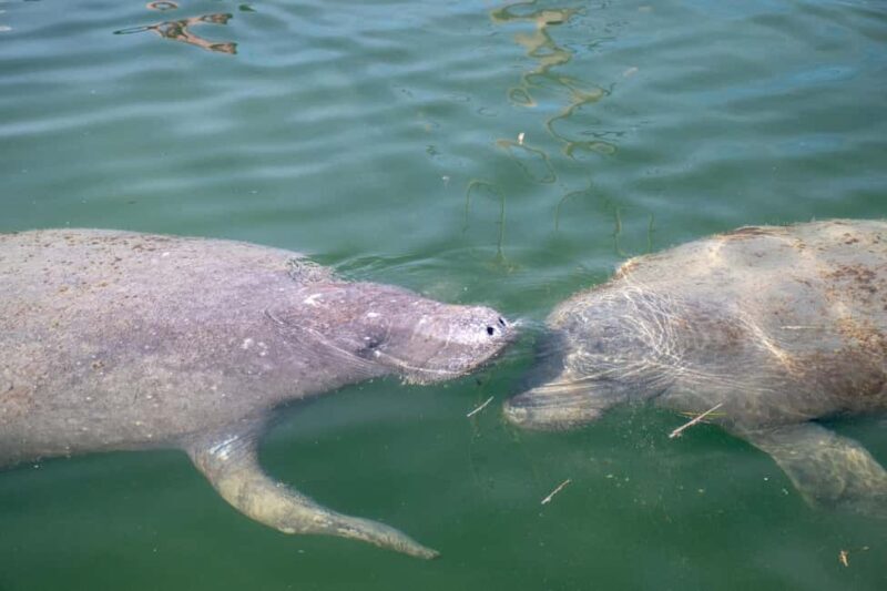 Key West: Private Boat Charter with Captain - An In-Depth Look at the Private Boat Charter Experience in Key West