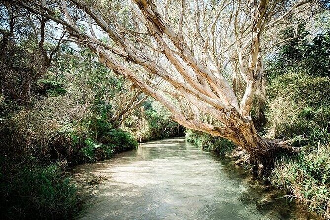 K'Gari (Fraser Island) 3-Day Getaway from Hervey Bay + Illumina - The Sum Up