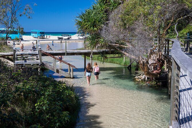 K'gari (Fraser Island) All Inclusive Day Tour - Transportation & Comfort