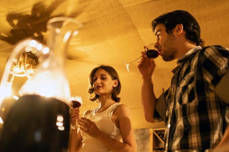 Khor Virap, Noravank Private Tour with Optional Wine Tasting - Practical Tips for the Tour  