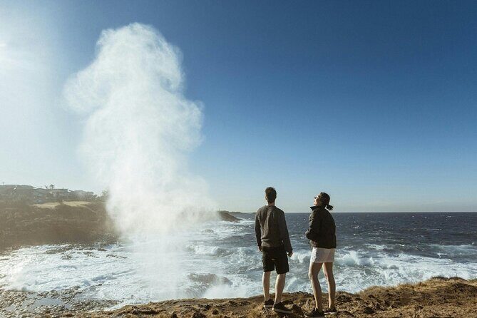 Kiama Private Family Trip From Sydney - Review Insights and Authentic Perspectives