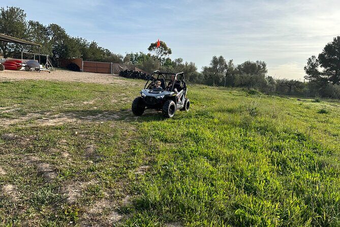 Kids Buggy Experience in Salou - The Sum Up