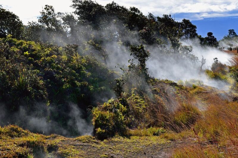 Kilauea: Volcanoes National Park Guided Hike - Who Should Consider This Tour