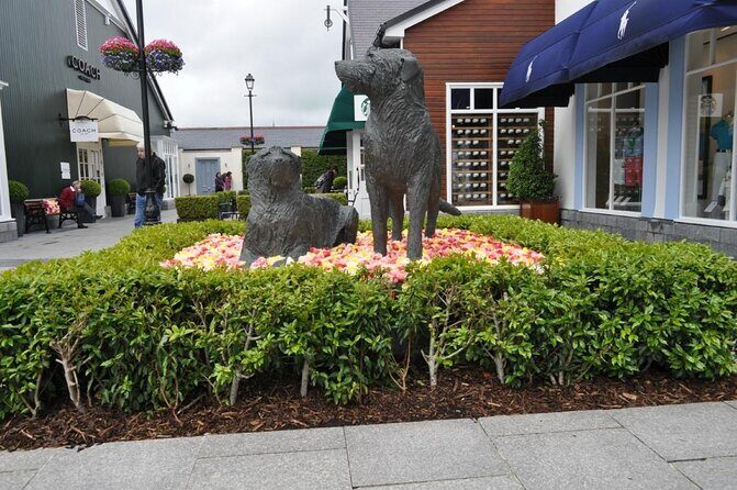 Kildare Village Shopping Trip from Belfast - Introduction