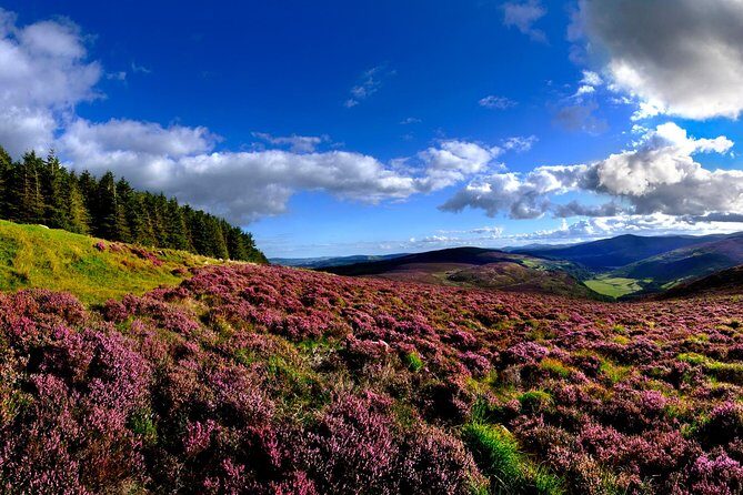 Kilkenny, Wicklow Mountains & Glendalough Day Tour from Dublin - FAQs