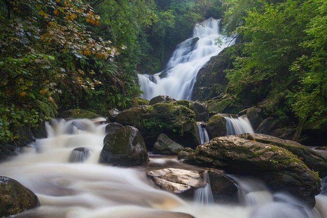 Killarney Highlight Half Day Tour -National Park-Muckross House - Authentic Insights from Travelers